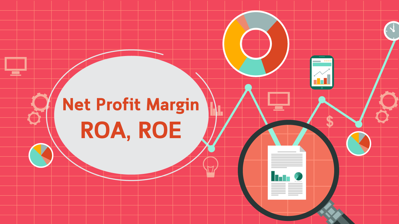 อัตราส่วนทางการเงินยอดฮิต Net Profit Margin, ROA และ ROE – ZaWebsite